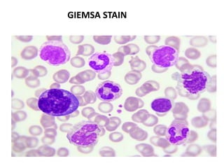 basic staining techniques in hematology.pptx