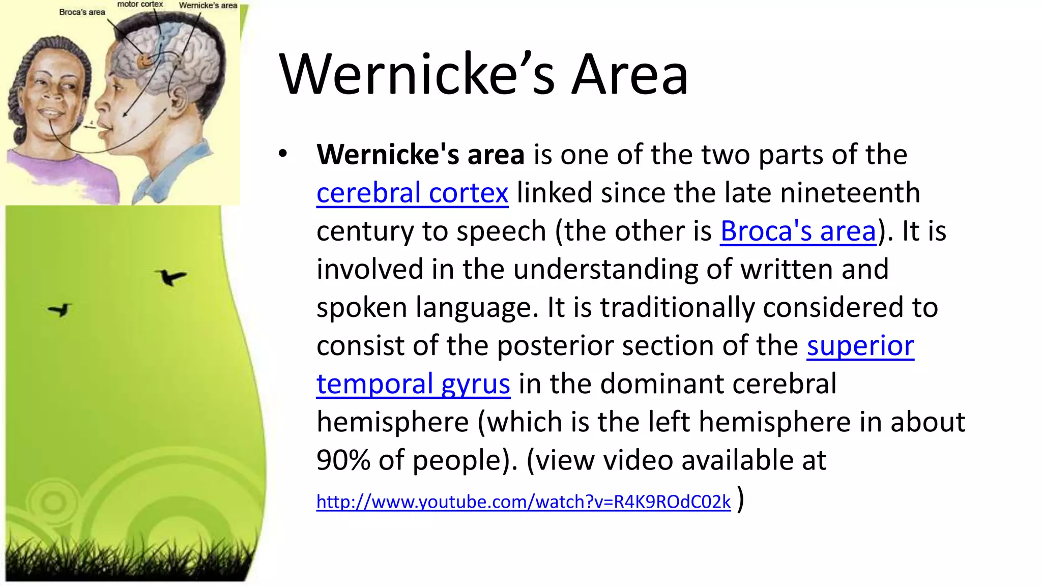 Basic steps for reading lm 1009 | PPT