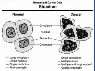 Basic steps in cancer research by Prof. Mohamed Labib Salem, PhD | PDF