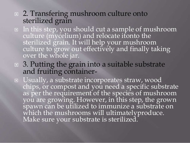 Basic Steps of Mushrooms Growing.pptx