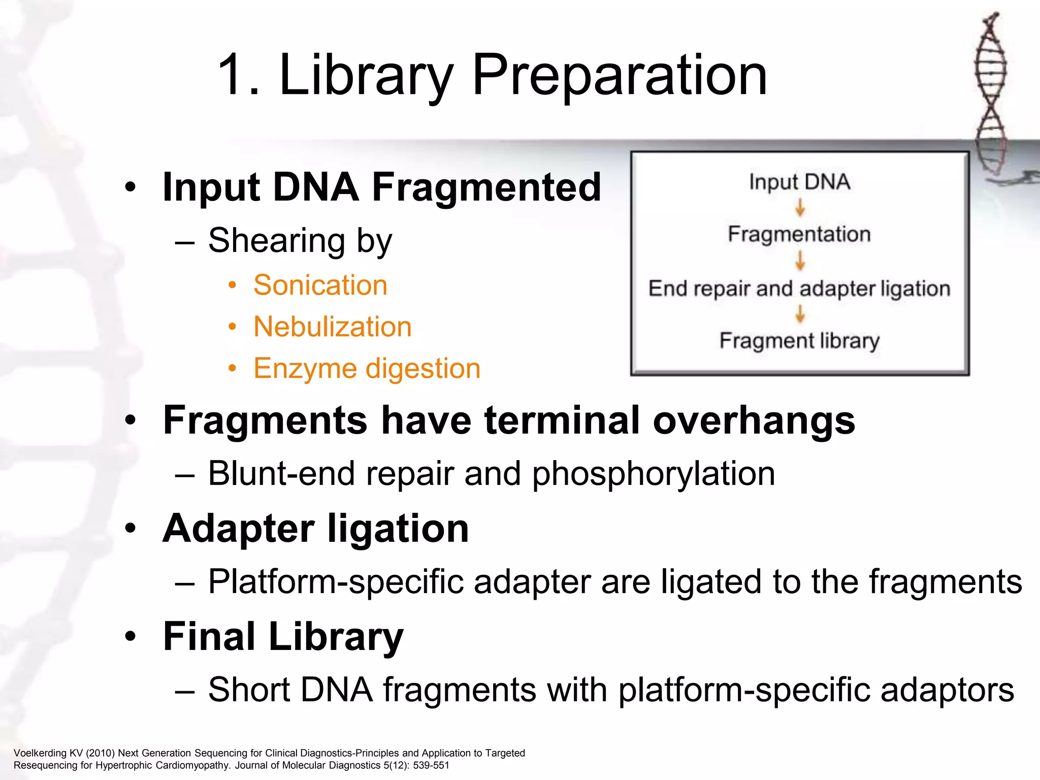 Basic Steps of the NGS Method | PPTX