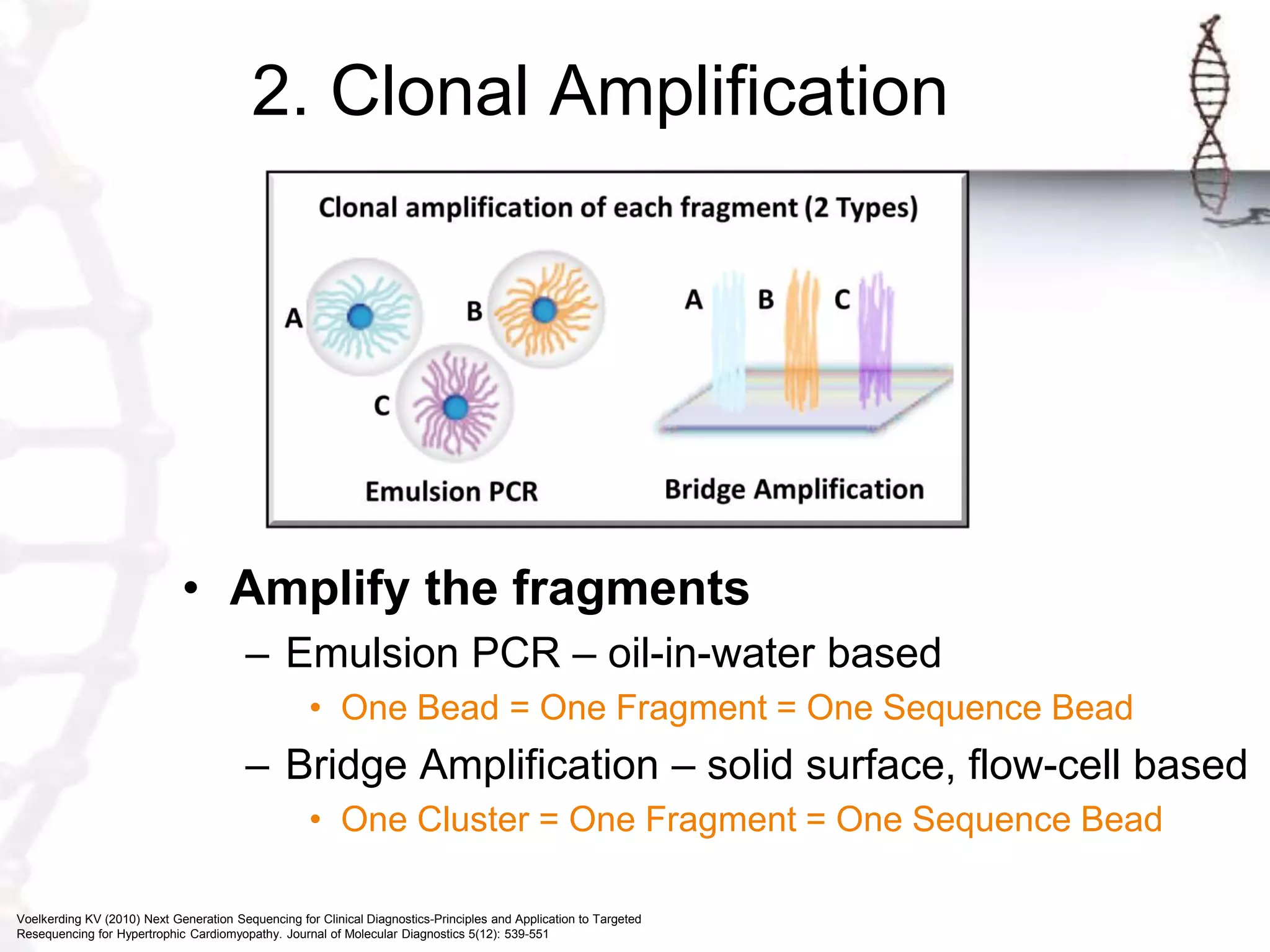 Basic Steps of the NGS Method | PPTX