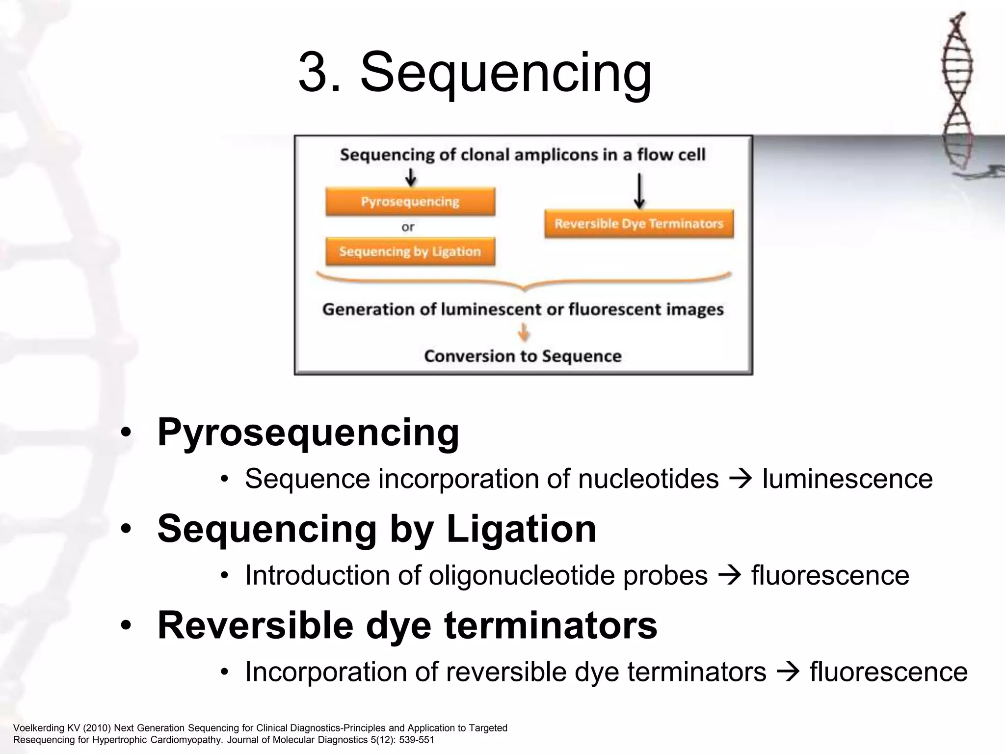 Basic Steps of the NGS Method | PPTX