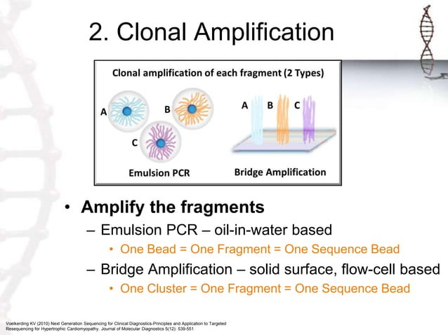 Basic Steps of the NGS Method | PPTX