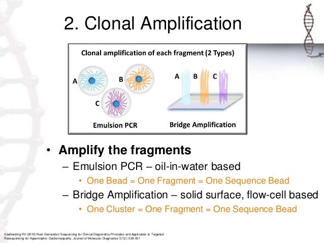 Basic Steps of the NGS Method