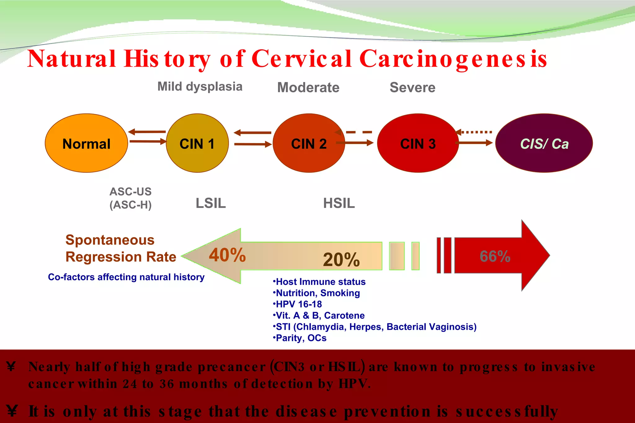 Basics To Ca Cx Screening (Eastern Biotech) | PPT