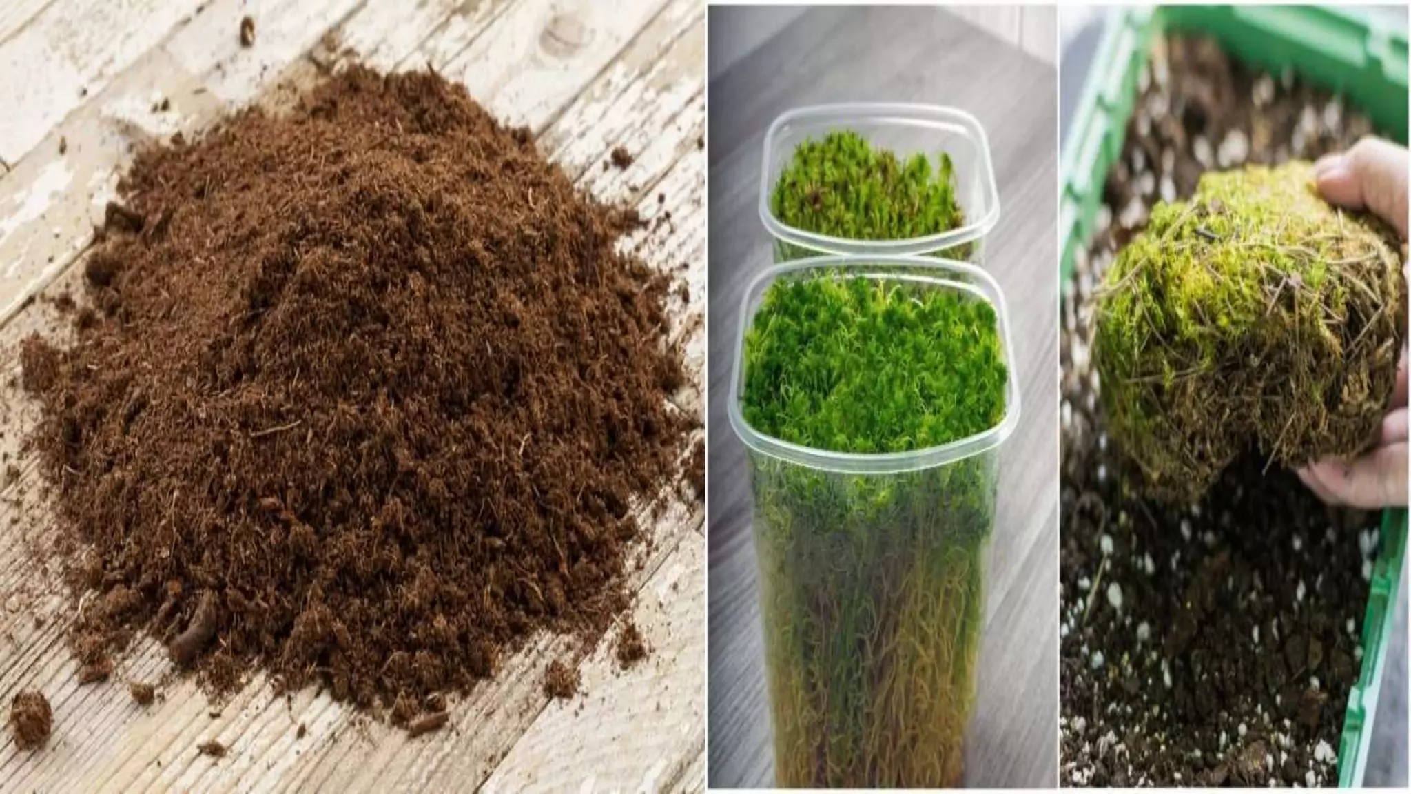 Basic Stock Control Procedures.pptx