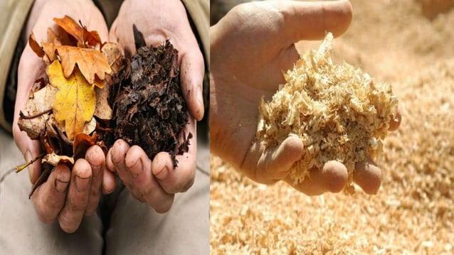 Basic Stock Control Procedures.pptx | Agriculture | Industries