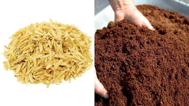 Basic Stock Control Procedures.pptx | Agriculture | Industries