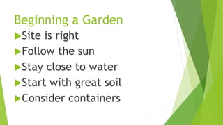 Basic Stock Control Procedures.pptx