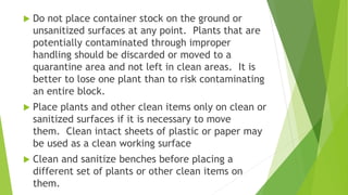 Basic Stock Control Procedures.pptx