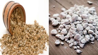 Basic Stock Control Procedures.pptx