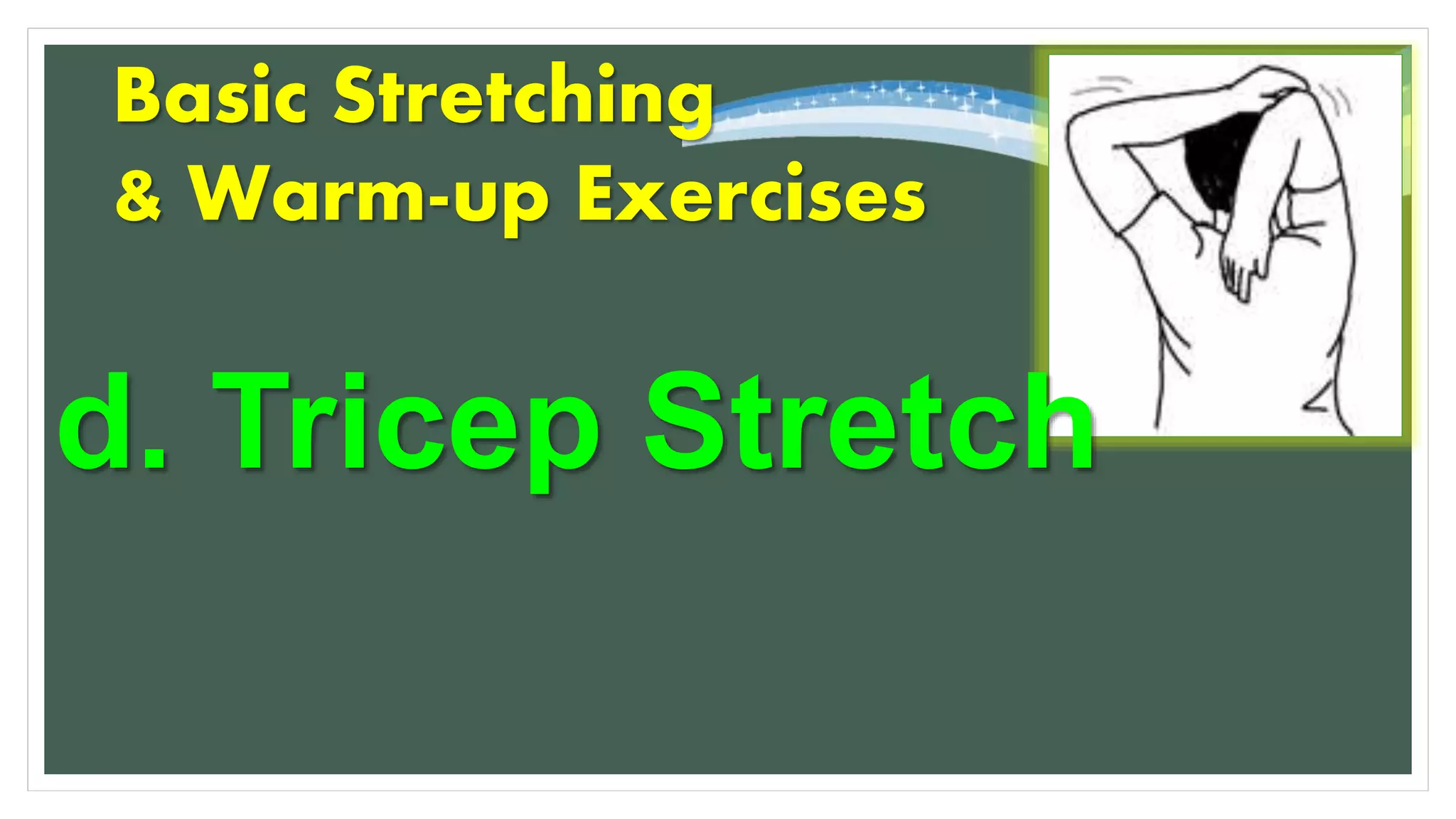 Basic stretching and warm up exercises | PPTX