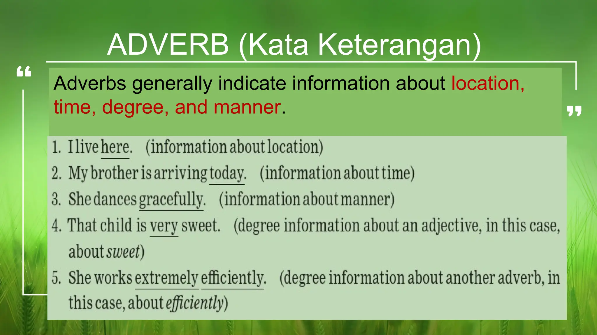 Basic Structure - Verb, Adjective, Adverb.pptx