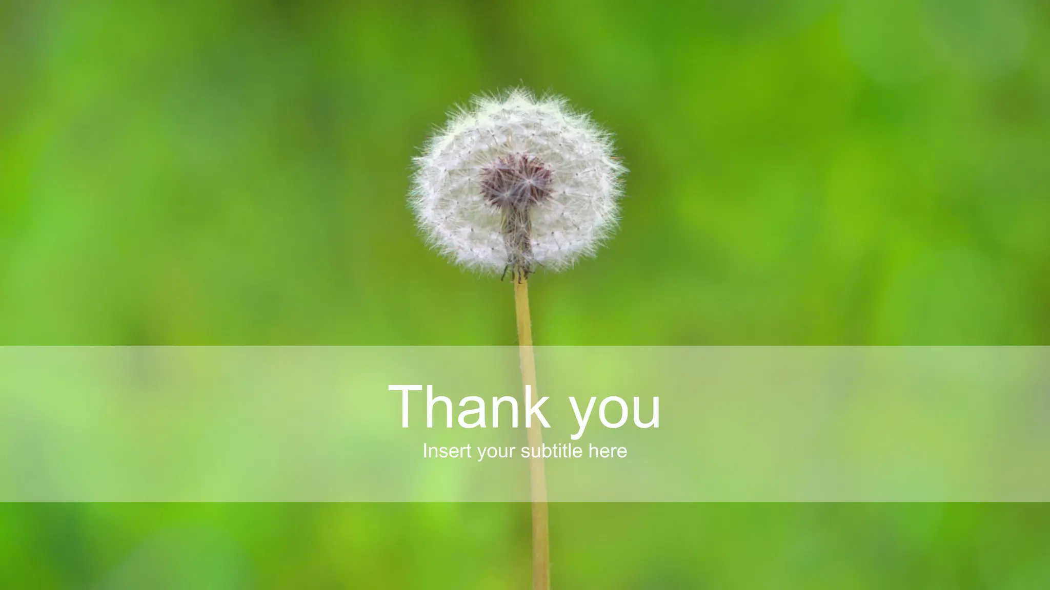 Basic Structure - Verb, Adjective, Adverb.pptx