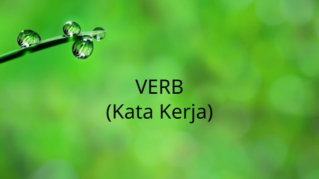 Basic Structure - Verb, Adjective, Adverb.pptx