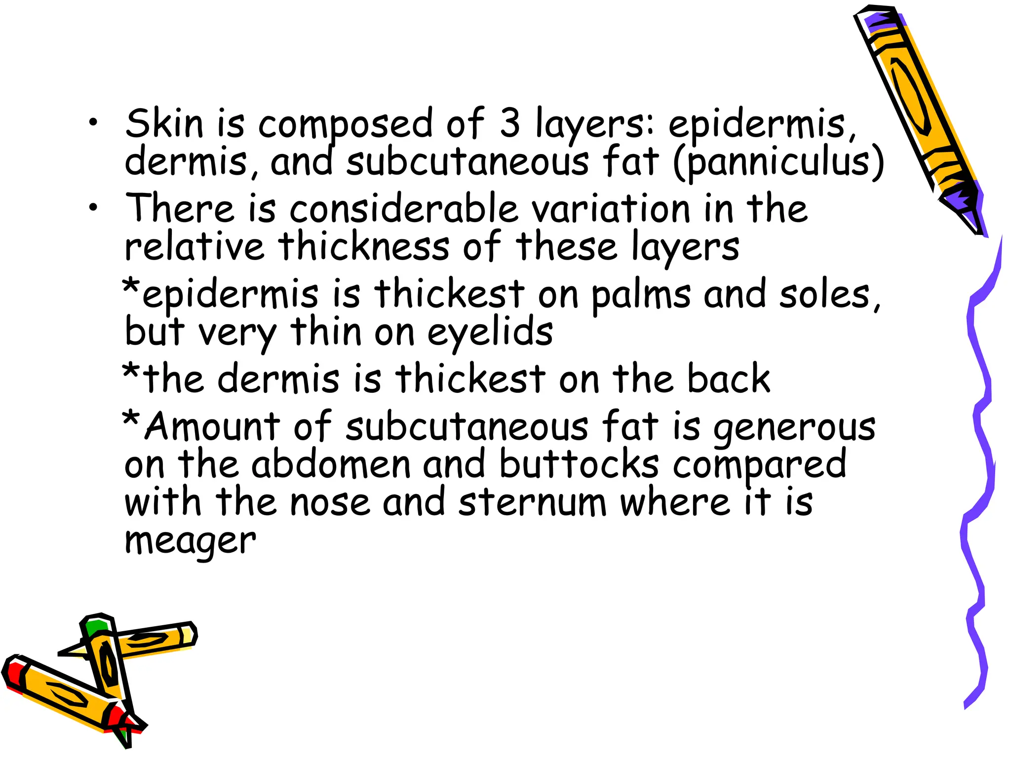 Basic structure and functions of the skin.ppt