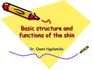 Basic structure and functions of the skin.ppt