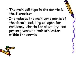 Basic structure and functions of the skin.ppt
