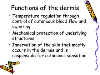 Basic structure and functions of the skin.ppt