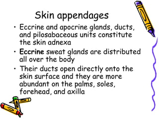 Basic structure and functions of the skin.ppt