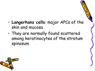 Basic structure and functions of the skin.ppt