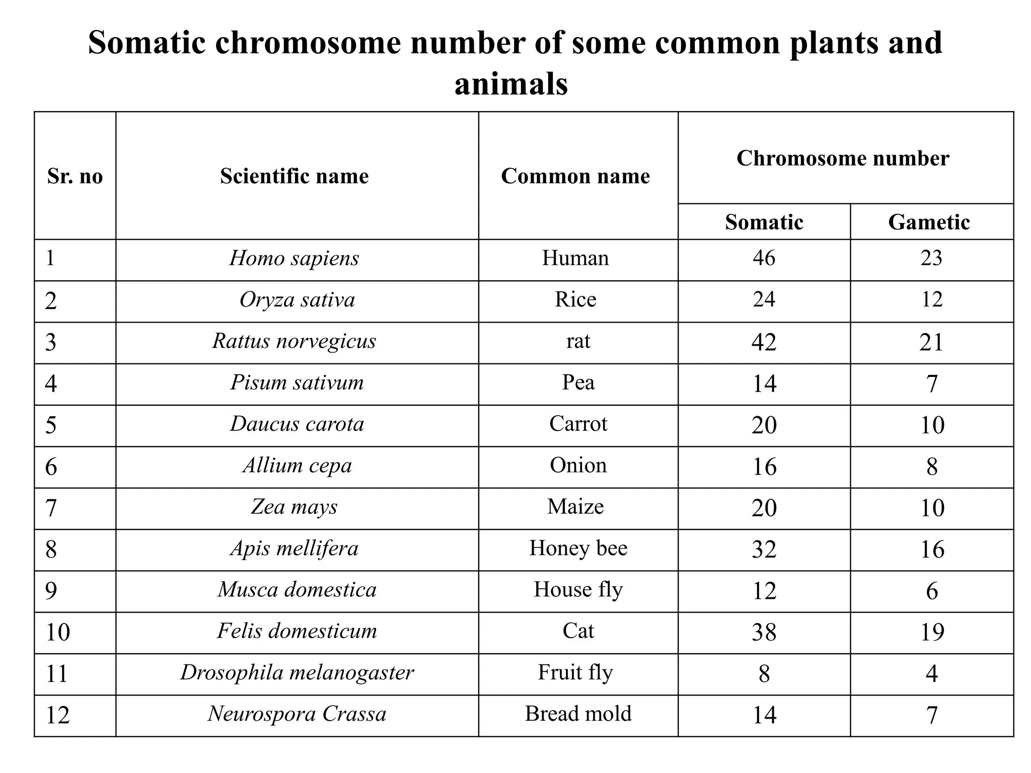 Basic structure of chromosome and its components | PPTX