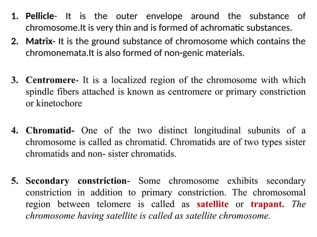 Basic structure of chromosome and its components | PPTX | Biological ...