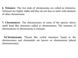 Basic structure of chromosome and its components | PPTX | Biological ...