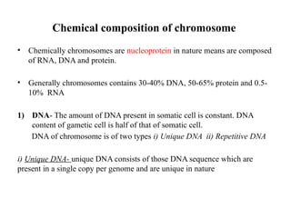 Basic structure of chromosome and its components | PPTX | Biological ...