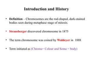 Basic structure of chromosome and its components | PPTX