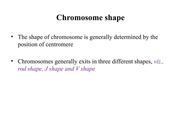 Basic structure of chromosome and its components | PPTX | Biological ...