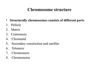 Basic structure of chromosome and its components | PPTX | Biological ...