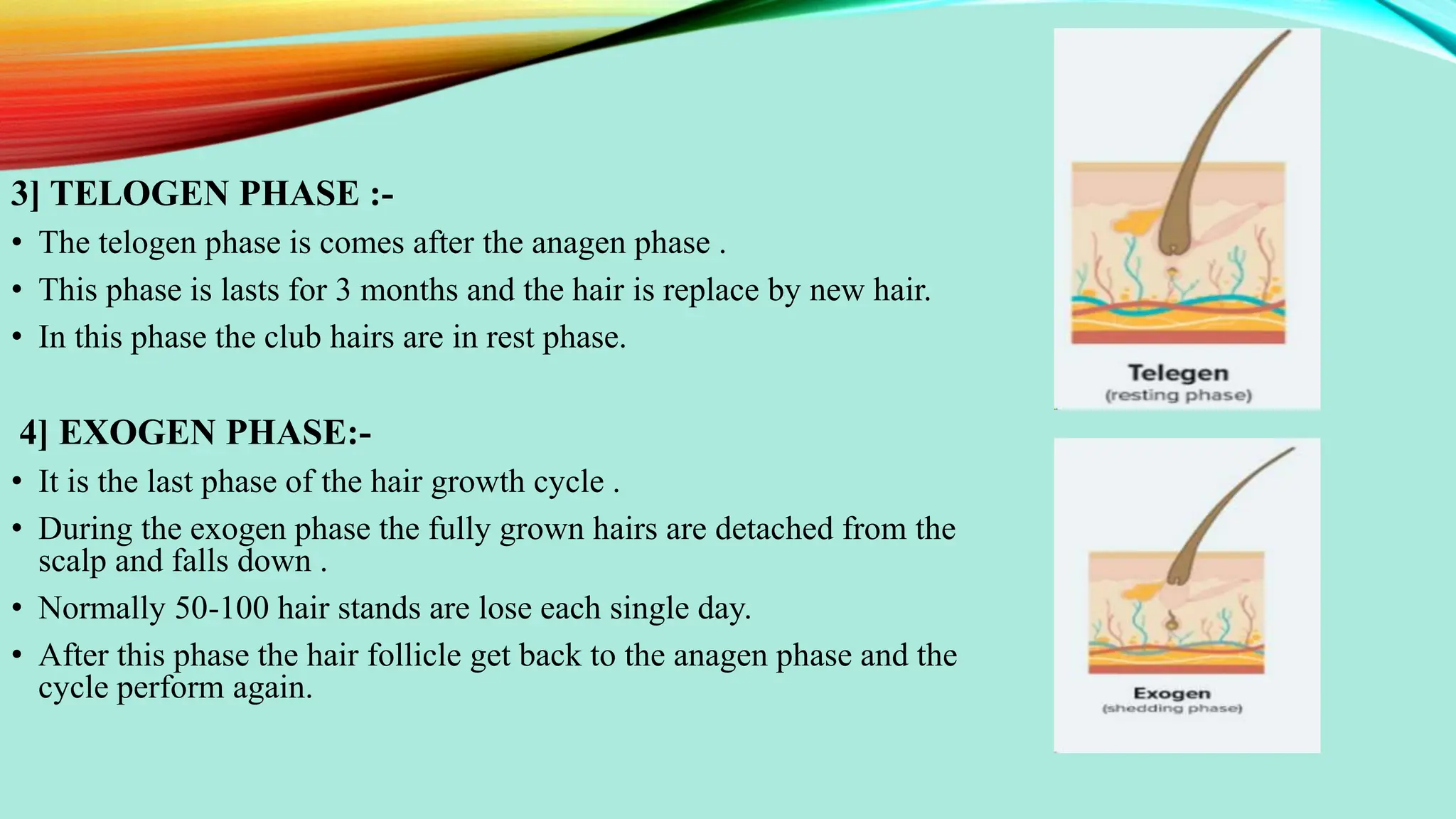 Basic structure of hair and hair growth cycle.pptx