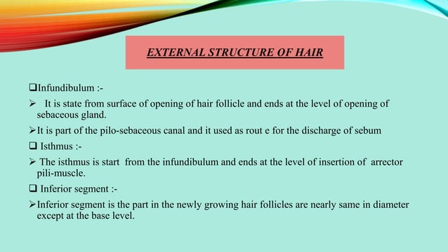 Basic structure of hair and hair growth cycle.pptx | Hair Care | Beauty