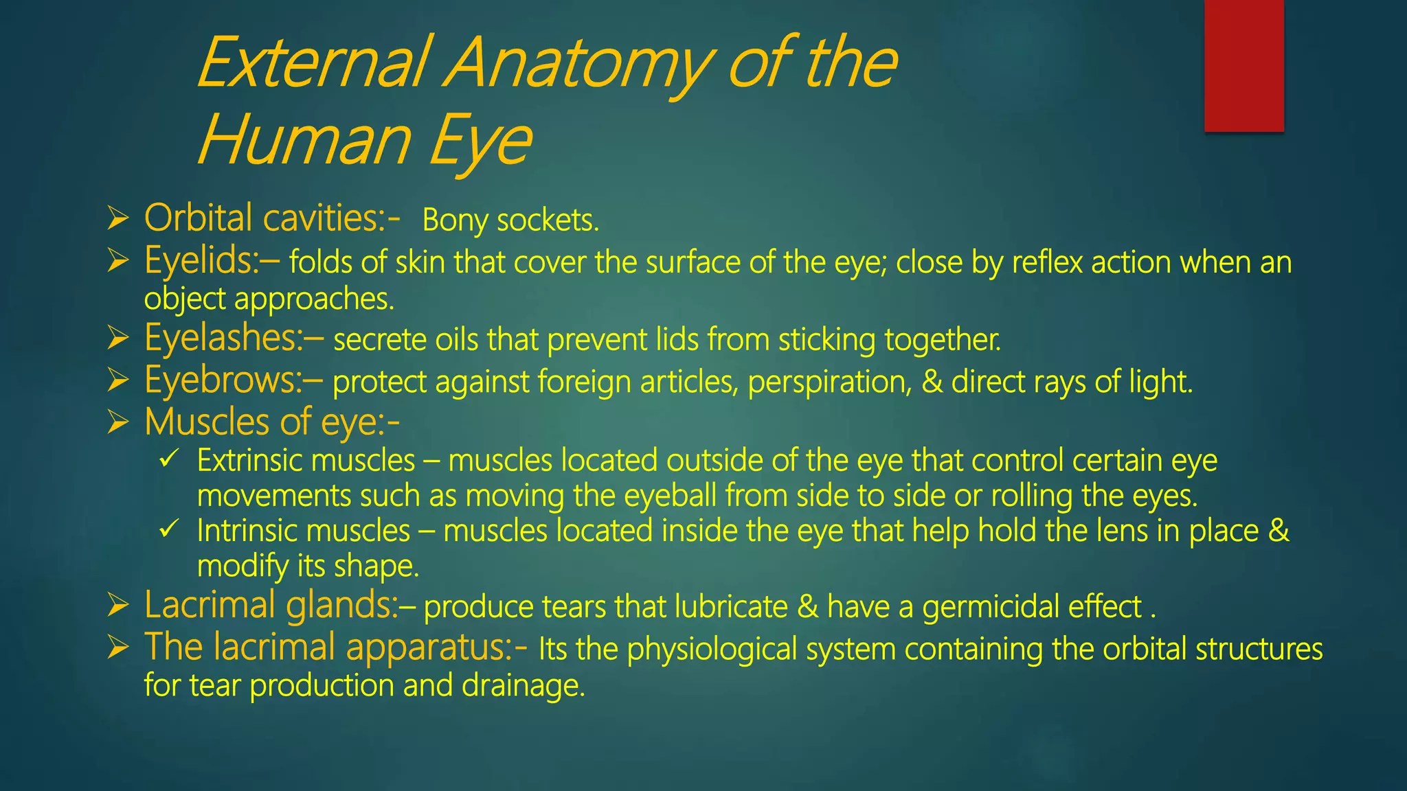 structure of eye ball | PPTX