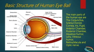structure of eye ball | PPTX