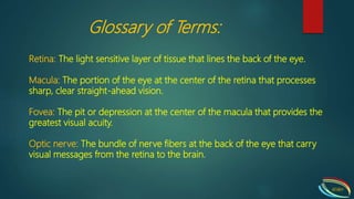 structure of eye ball | PPTX
