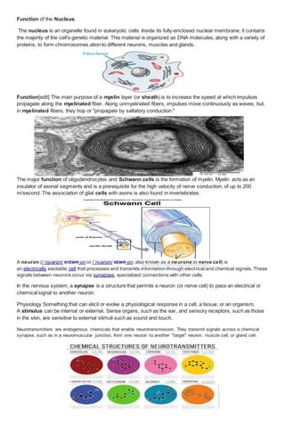 Basic structure of neuron | DOCX | Computer Networking | Computing