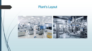 Basic Structure Of Pharmacuetical Plants.pdf