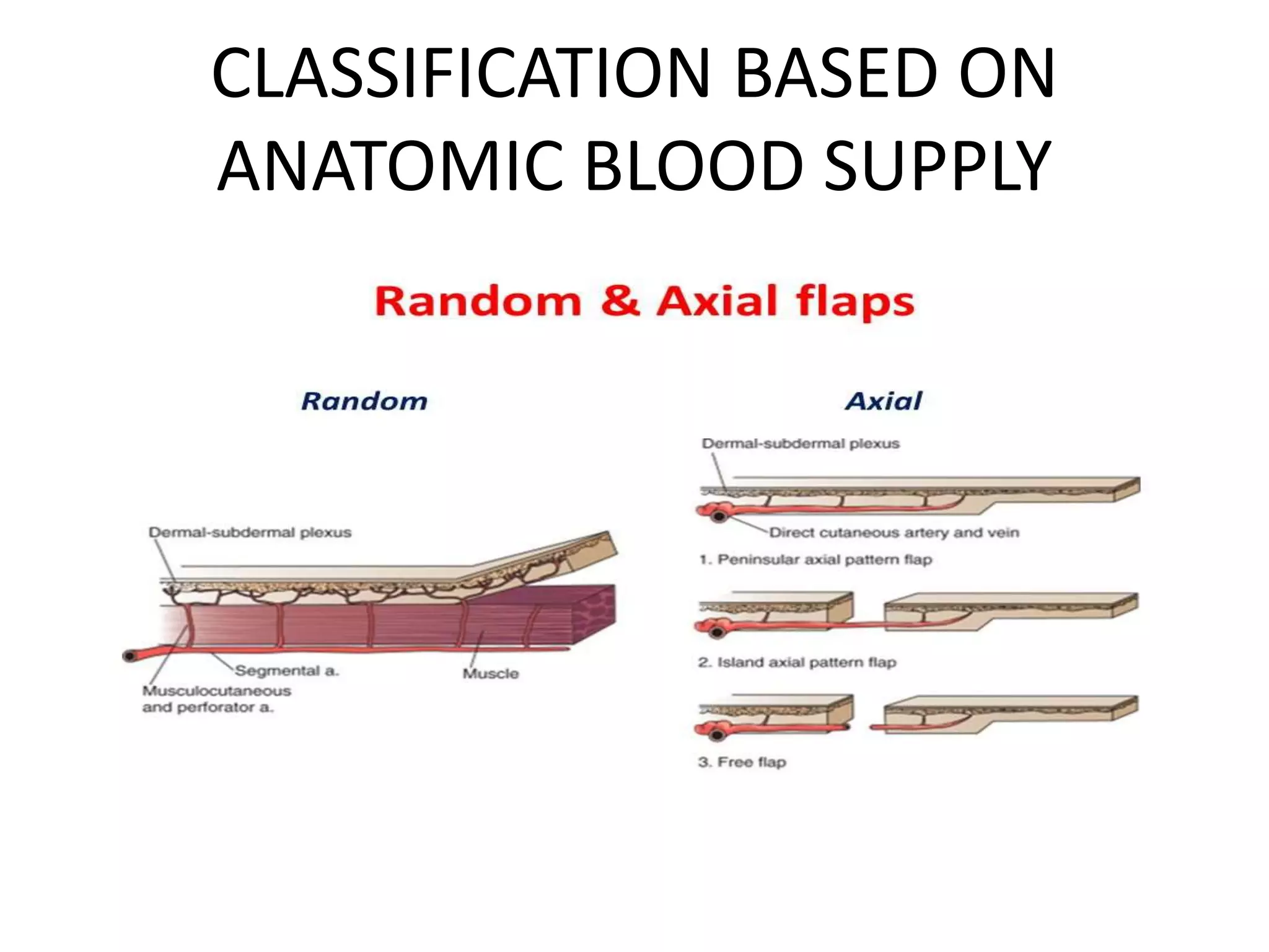 Basic surgical procedures | PPT