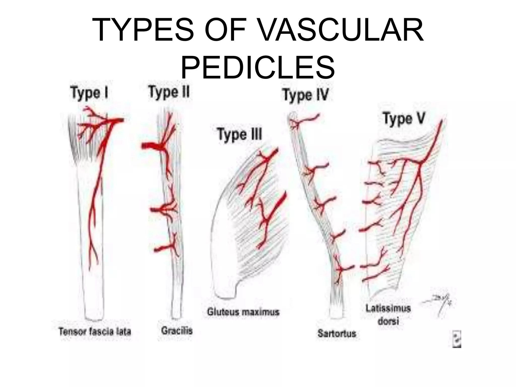Basic surgical procedures | PPT