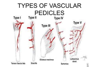 Basic surgical procedures | PPT