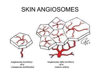 Basic surgical procedures | PPT