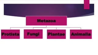 Basic Taxonomy (Classification of animal).pdf