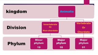 Basic Taxonomy (Classification of animal).pdf
