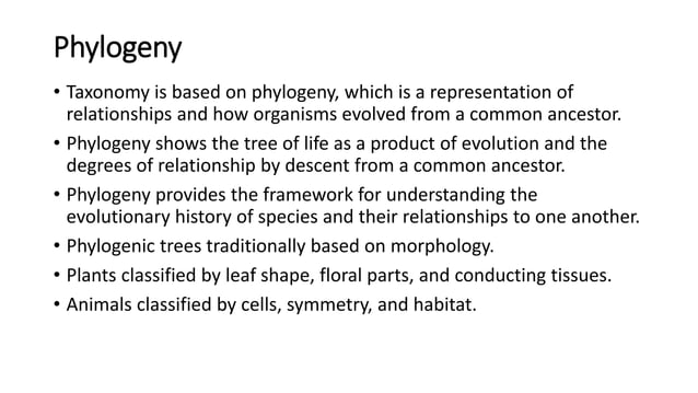 Basic Taxonomy Concepts and Principles.pptx