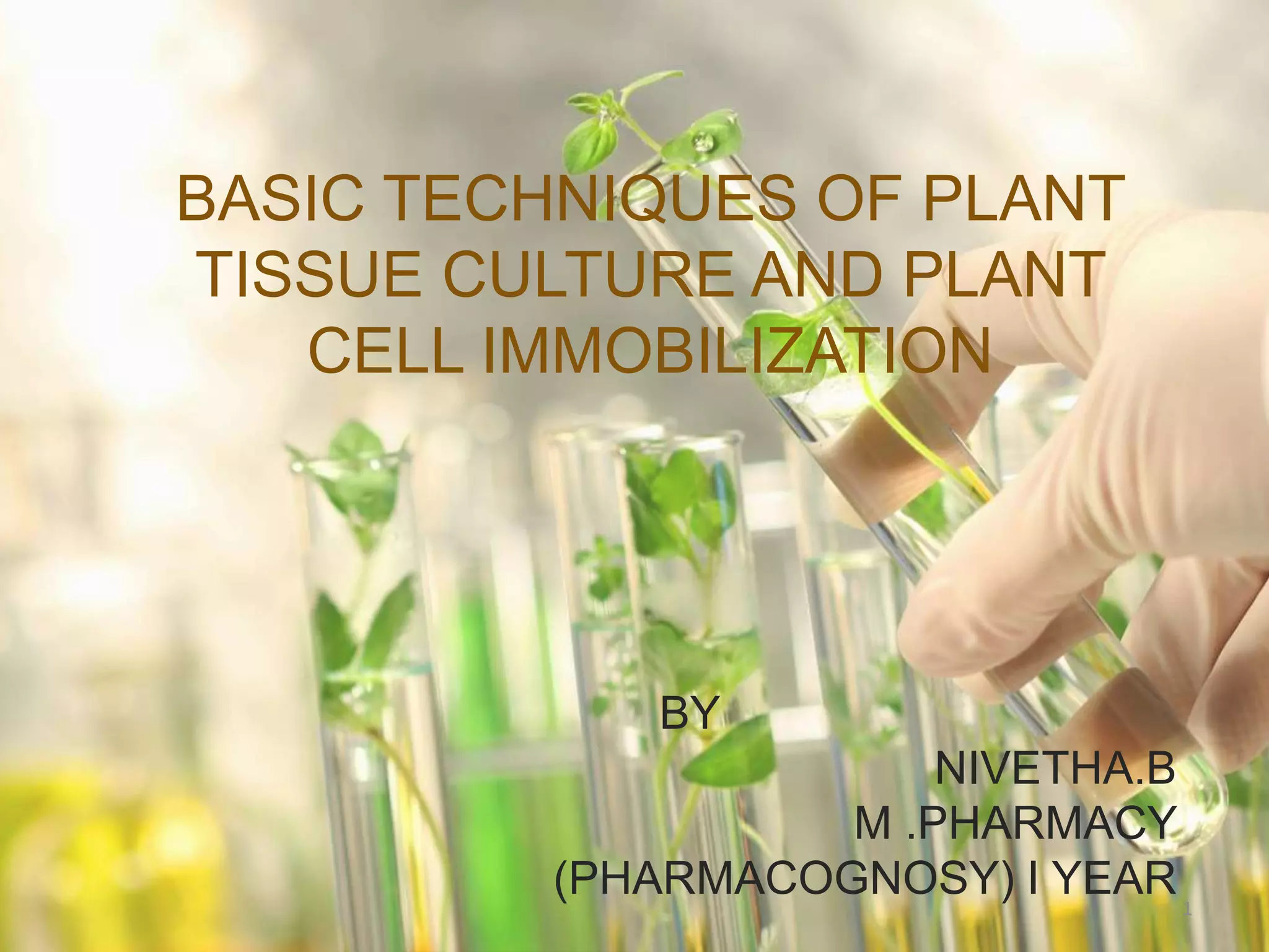 Basic techniques of plant tissue culture | PPTX