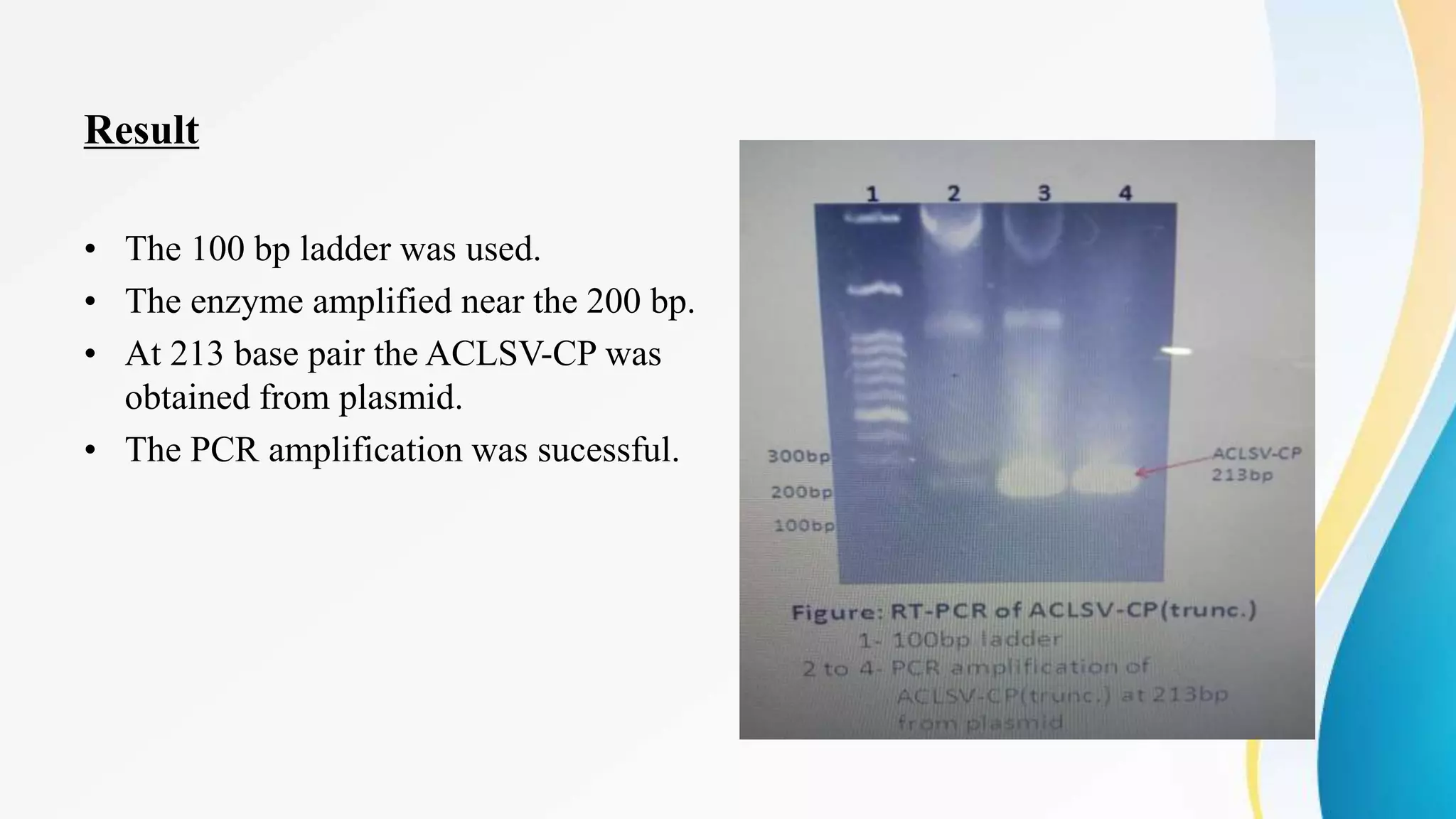 Basic Techniques used in identification of Plant Viruses.pptx
