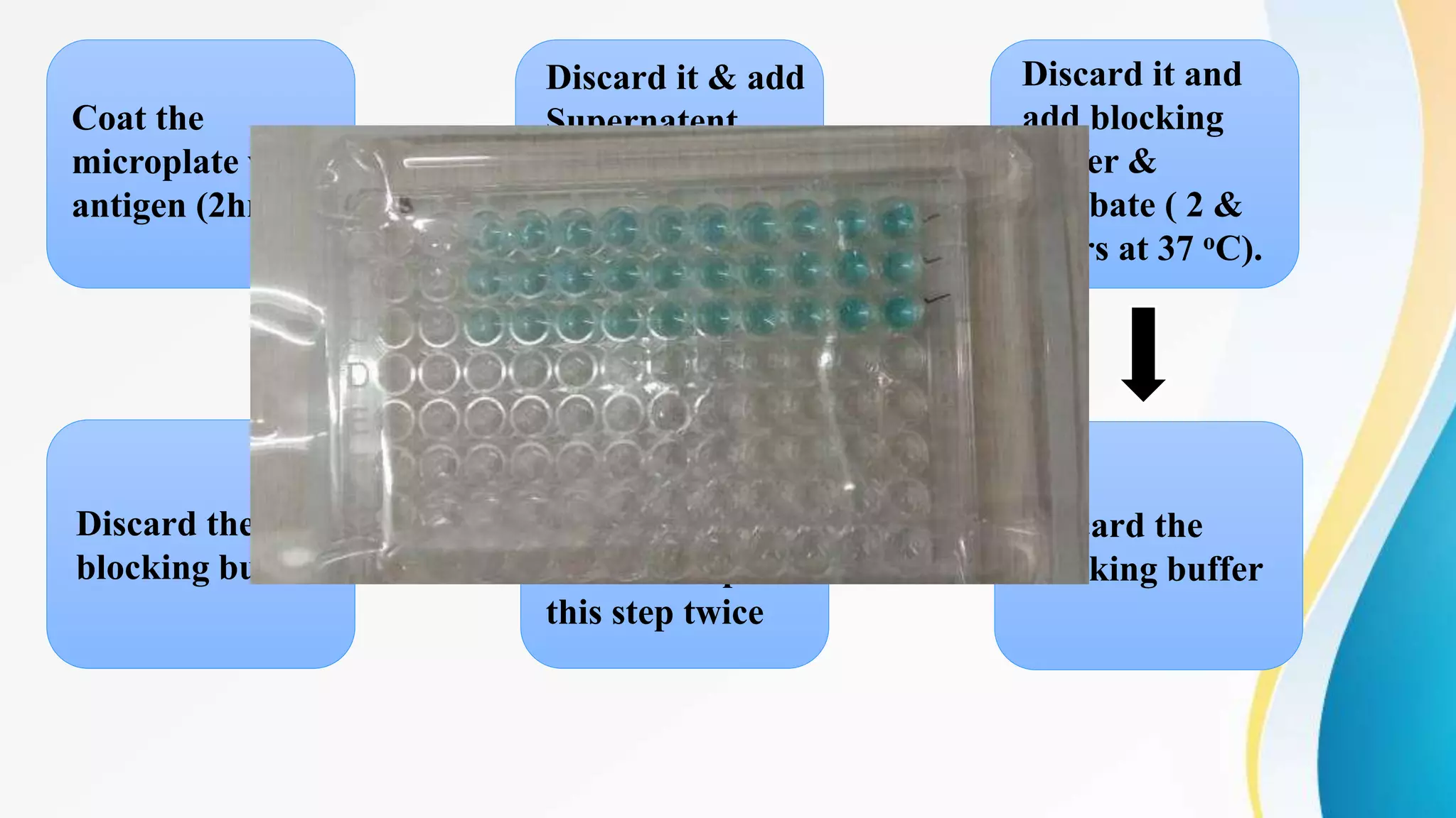 Basic Techniques used in identification of Plant Viruses.pptx